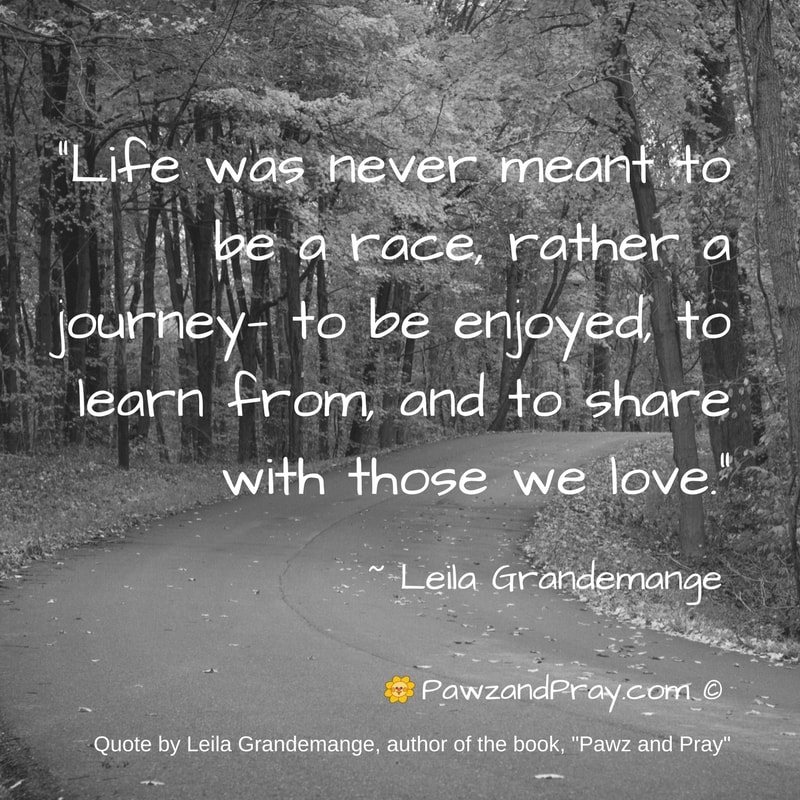 Life Was Never Meant to Be a Race … [Quote]