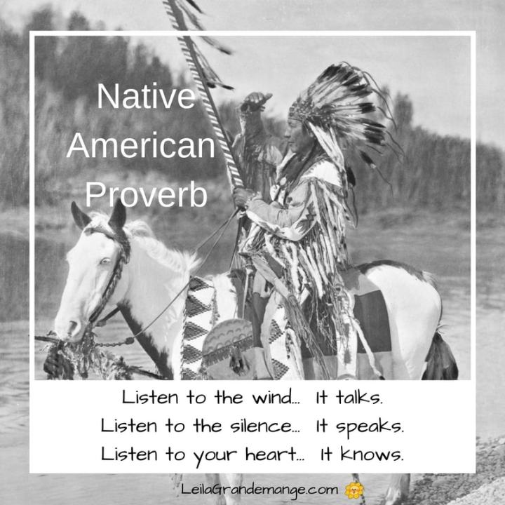 Native American Proverb [thoughts on listening to animals and nature]