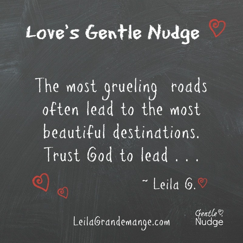 A Gentle Nudge [to Trust God Through Heartache]