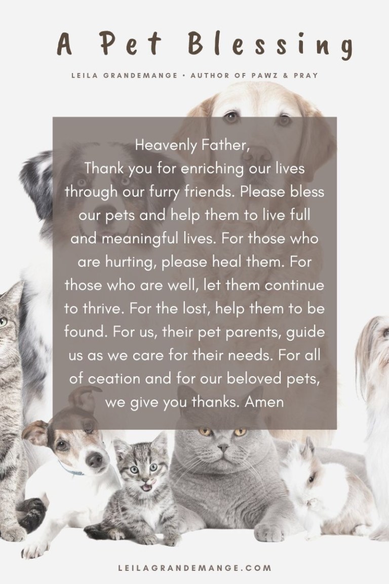 A Beautiful Pet Blessing