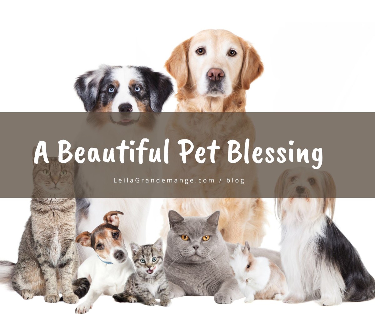 A Beautiful Pet Blessing – Leila Grandemange