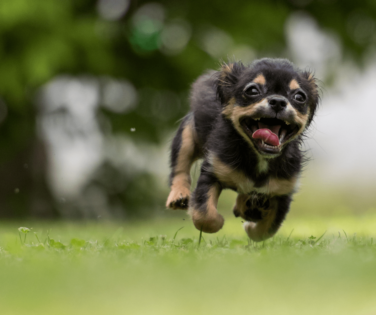 Running After God [Short Encouraging Words] – Leila Grandemange