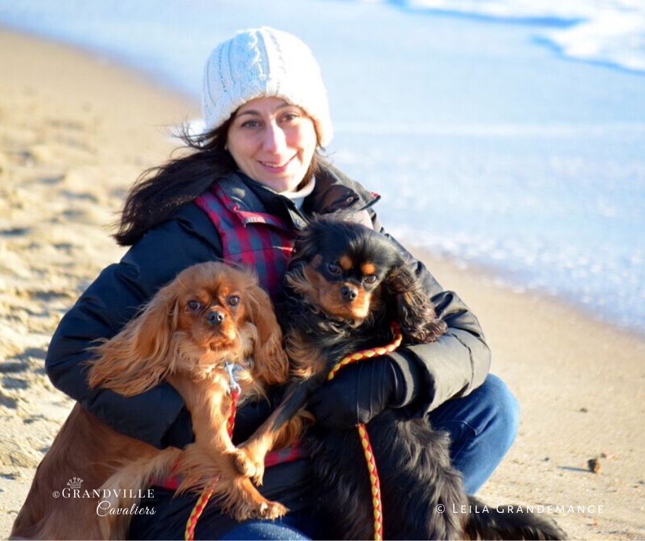 Morning Moments Matter: Inspiring Faith Story for Pet Lovers from Pawz ...